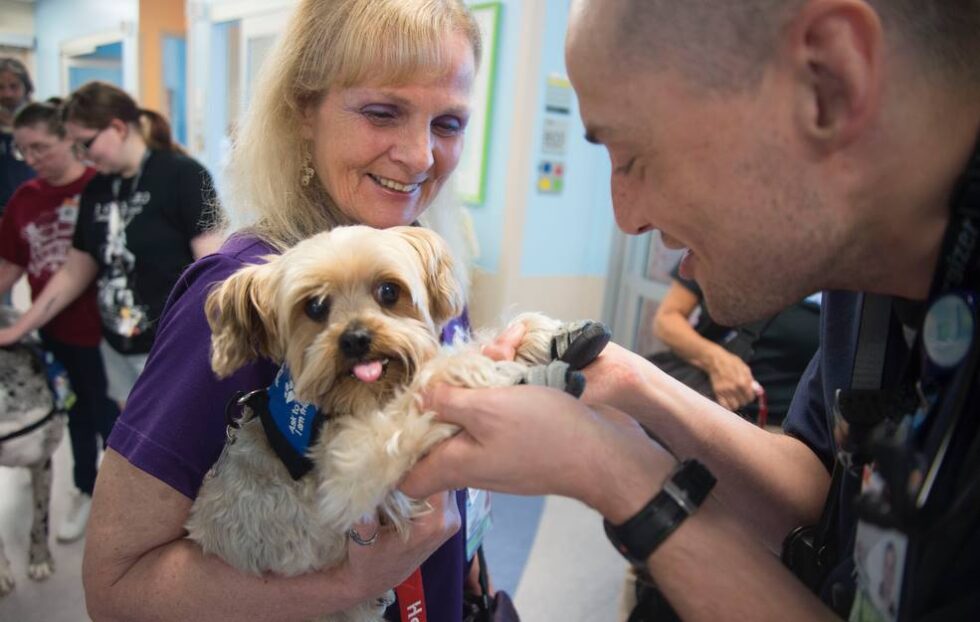 West Michigan Therapy Dogs | Handler Teams | Grand Rapids, MI