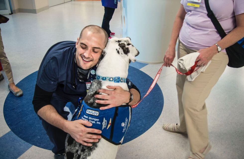 What is Pet Therapy? | West Michigan Therapy Dogs | West, MI