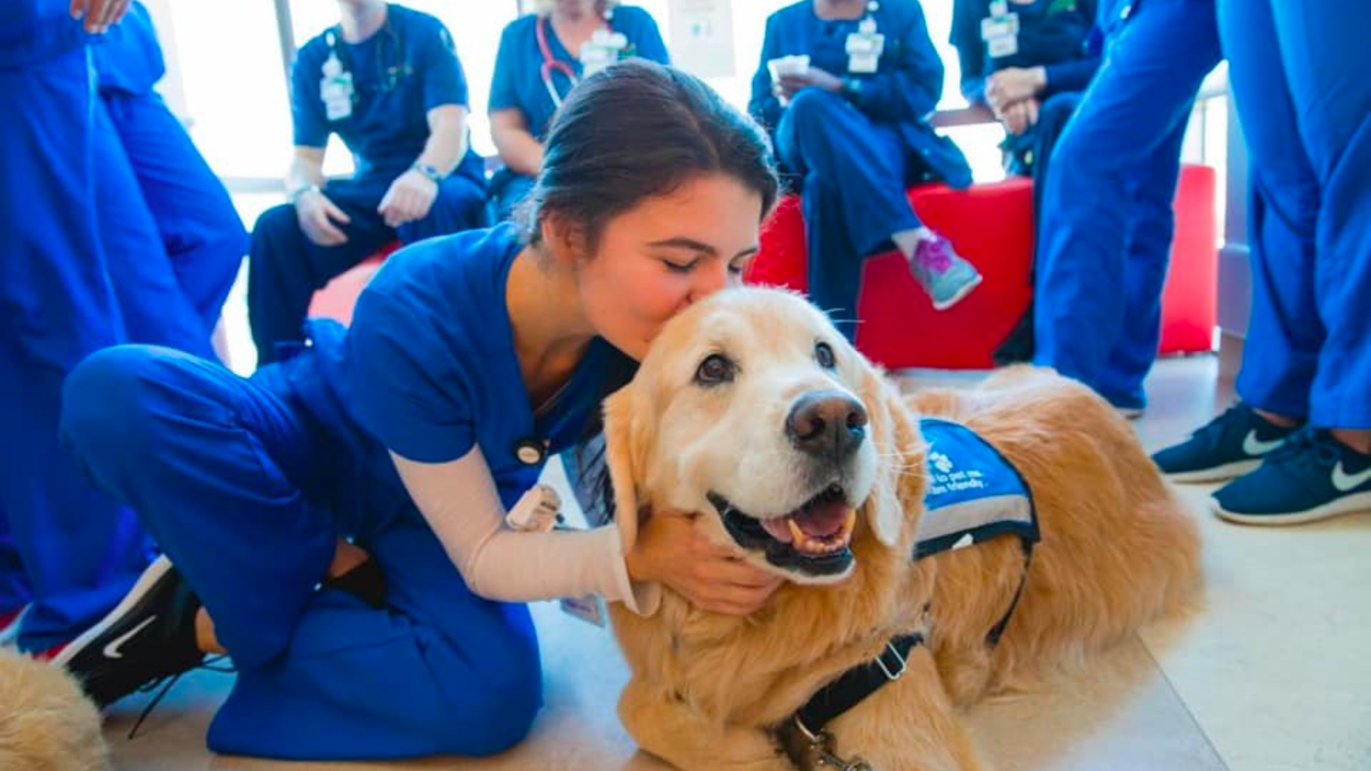West Michigan Therapy Dogs | Handler Teams | Grand Rapids, MI