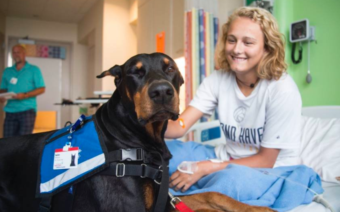 West Michigan Therapy Dogs | Handler Teams | Grand Rapids, MI